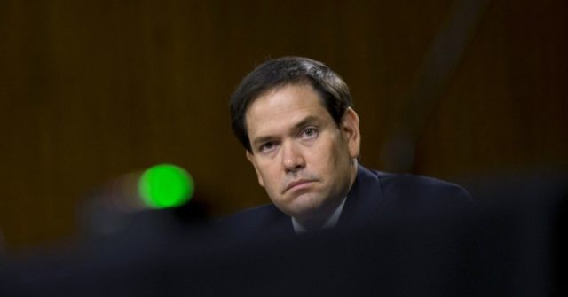 Florida Sen. Rubio named acting chair of intelligence panel - Breitbart