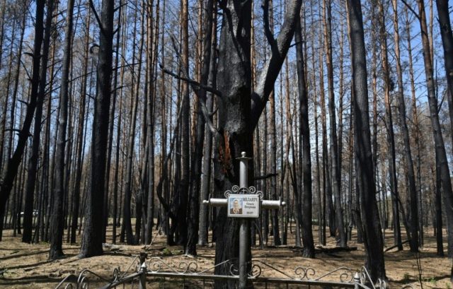 Ukraine scientists see signs of hope after huge Chernobyl fires - Breitbart
