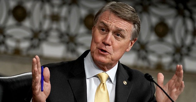 Georgia's David Perdue Launches First TV Reelection Ads