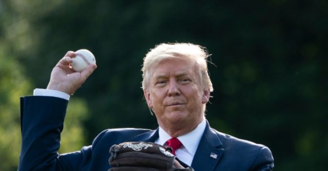 Donald Trump Postpones Plans to Throw First Pitch at Yankee Stadium in ...
