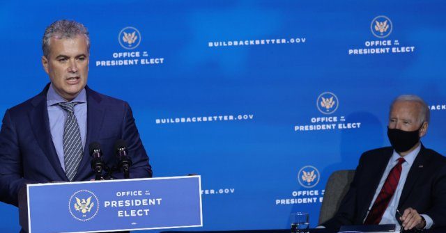 Paid Wikipedia Editor Sanitizes the Page of Biden Coronavirus Czar ...