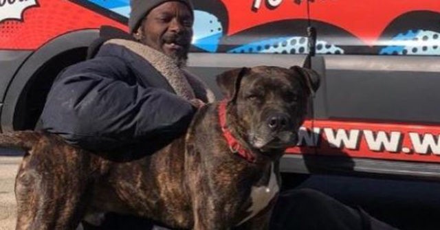 Homeless Man Rescues All Animals at Shelter After It Catches Fire