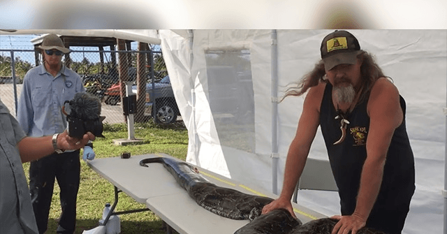 Cousins Find 300-Pound, 16-Foot Burmese Python on Family Property