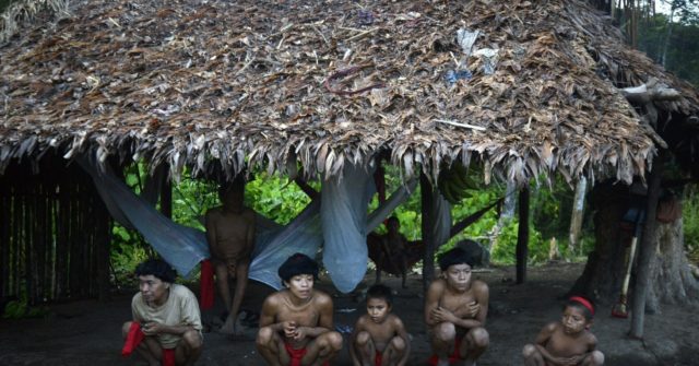Brazil to deploy police to protect Yanomami from miners - Breitbart