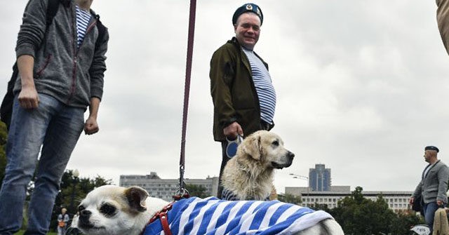 Russian Military Developing Parachutes for Skydiving Dogs