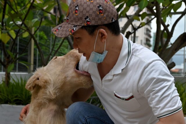 Cambodian PM orders return of defanged lion to Chinese owner - Breitbart