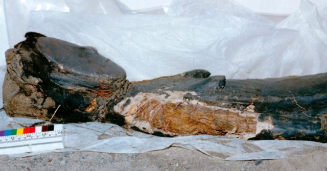 Chile's ancient mummies added to UN heritage list - Breitbart