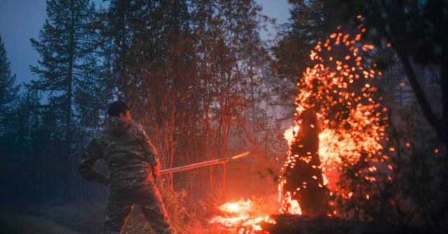 Volunteers pitch in to fight Russia's raging forest fires - Breitbart