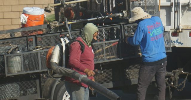 Gavin Newsom Signs Law to Outlaw Gas-powered Lawn Mowers, Leaf Blowers