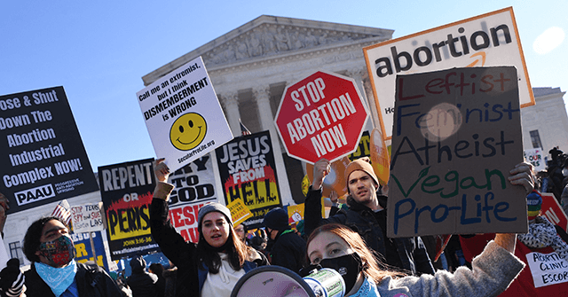 Watch -- Progressive Feminist Pro-Lifer: 'Our Liberation Should Never ...