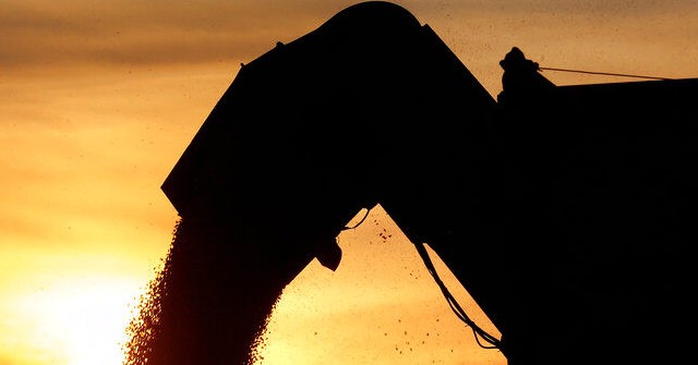 Report: Ukraine War Boosts Chinese Purchases of U.S. Corn and Soybeans
