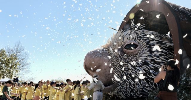 Quills and thrills as prodigious porcupine puppet unveiled - Breitbart