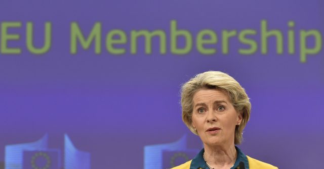 European Union executive: Make Ukraine a member candidate - Breitbart