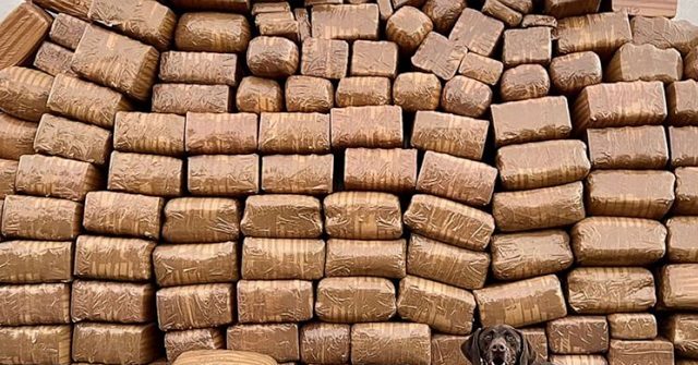 Feds Seize 5,000 Pounds of Meth Setting Record for California Border County