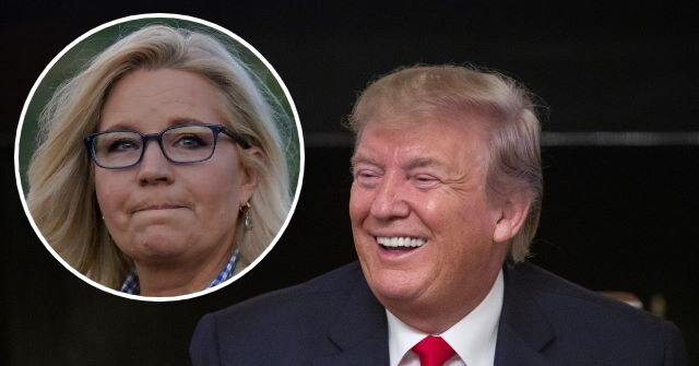 Poll: Liz Cheney Independent Run for President Would Only Help Donald ...