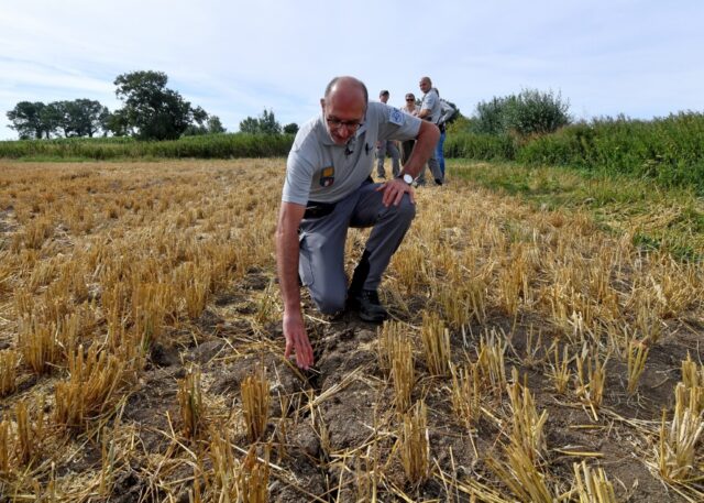 Driest July in memory imperils Europe's crops - Breitbart