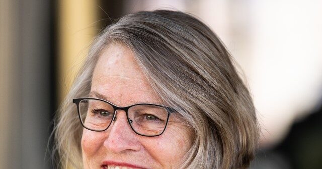 Exclusive - Rep. Mariannette Miller-Meeks: 'I Am the Poster Child for ...