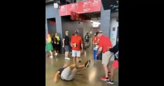 WATCH: Two Fans Get into Insane Brawl at Georgia-Oregon Game