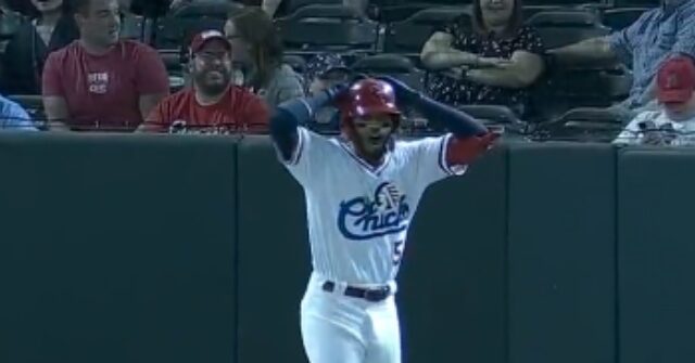 WATCH: Minor Leaguer Celebrates Home Run, Only to Find Out it Was a Fly ...