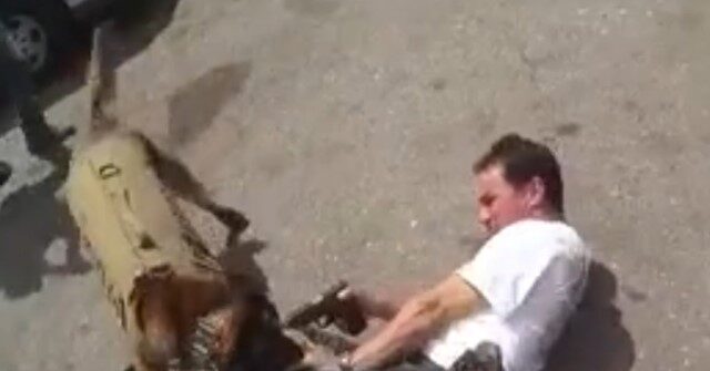 WATCH: SWAT Opens Fire After Suspect Puts Gun to Police K9's Head