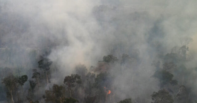 Number of Brazil Amazon fires hits five-year high in August - Breitbart