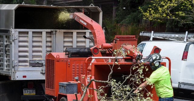 Tree Trimmer Dies After Falling into Wood Chipper in Northern California