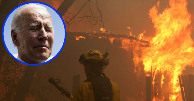 Biden Again Claims He Lost 'An Awful Lot' of His House in a Fire