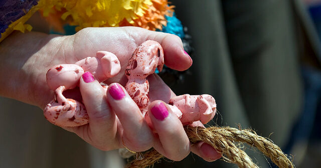 Minnesota Bishop Robert Barron Slams ‘Barbaric’ Abortion Law