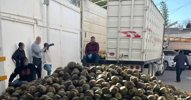 660 Pounds of Cartel-Smuggled Fentanyl Found Hidden in Coconut Shipment ...