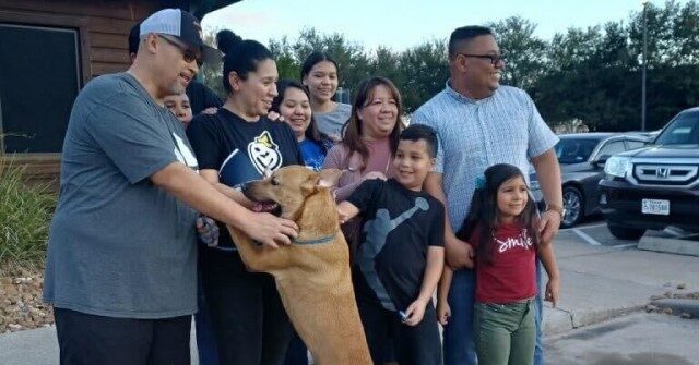 PHOTOS: Dog Reunites with Family a Year After Disappearing