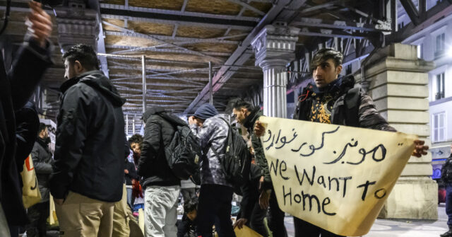 French Asylum Requests Approached Pre-Pandemic Records in 2022