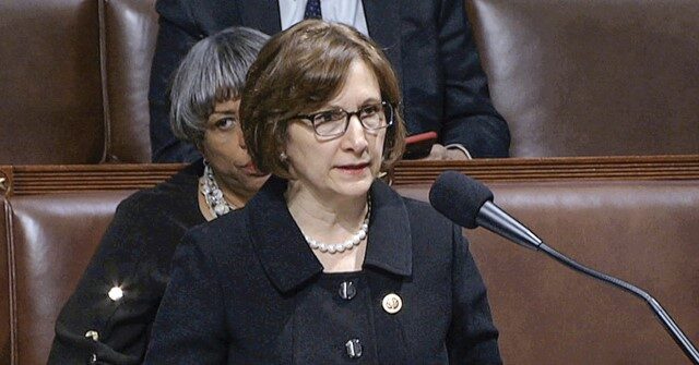 Dem Rep. Bonamici is Recovering from Concussion After Being Struck by Car