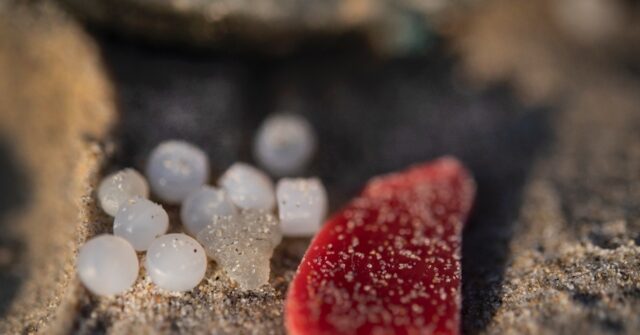 France to probe microplastic pellet pollution on Atlantic beaches ... France to probe microplastic pellet pollution on Atlantic beaches ...