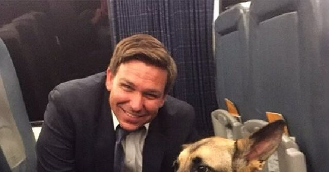 Marine Veteran’s Service Dog That Inspired PAWS Act Takes ‘Last Flight'