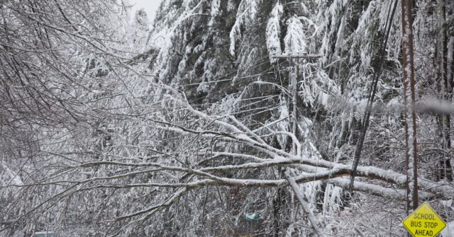 VIDEO: Citizen Rescues over 20 Drivers Trapped on Icy Ramp amid Storm