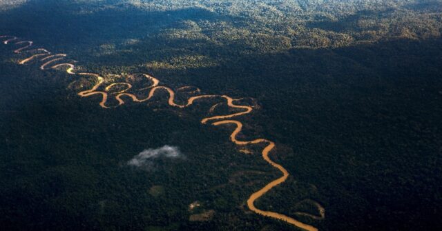 Brazilian army deploys to protect Indigenous Yanomami - Breitbart