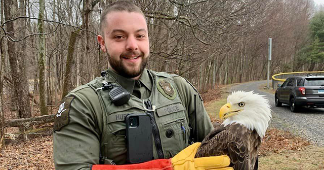 PHOTOS: Officials Praised for Rescuing Injured Bald Eagle