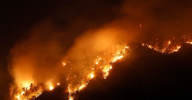Thai firefighters battle forest blaze - Breitbart
