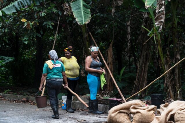 Venezuela town finds sweet success in artisanal chocolate - Breitbart