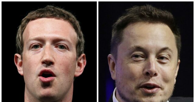 Tech billionaires' cage match? Musk throws down the gauntlet and ...