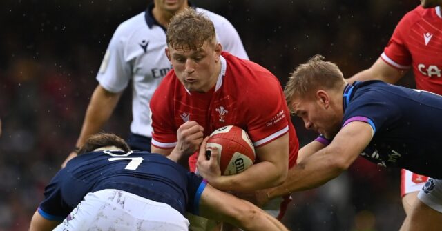 Morgan and Lake to co-captain Wales at Rugby World Cup - Breitbart