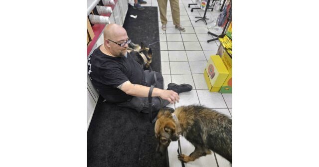 Prosecutor asks Indiana State Police to investigate dog deaths in ...