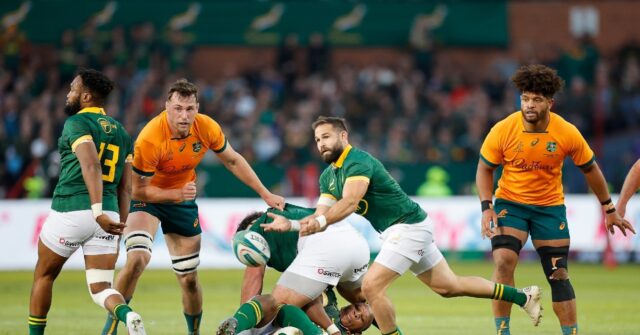 Springboks name four scrum-halves to play Romania - Breitbart