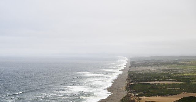 Wedding Guest Missing After Possible Shark Attack in California