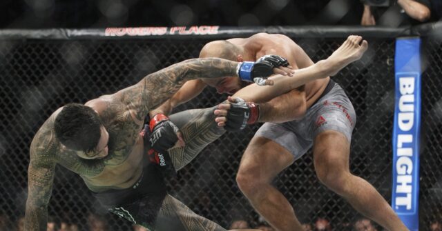 Bud Light to return as the UFC's official beer next year as it recovers ...