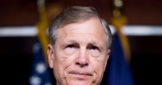 Exclusive: Babin Demands Answers from News Orgs Reportedly Embedded ...