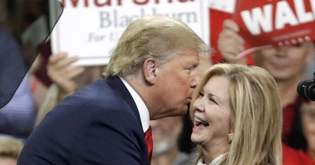 Poll: Trump, Marsha Blackburn Hold Commanding Leads over Democrats in ...