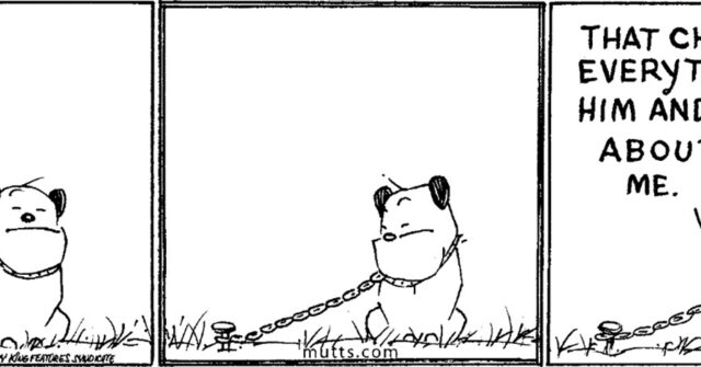 Breaking the chains: Creator of comic strip 'Mutts' frees his Guard Dog ...