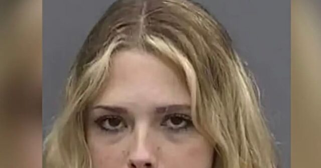 Police: FL Woman Posed as Homeschooler to Have Sex with Child