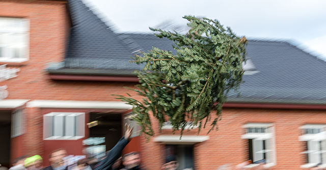 PHOTO: Woman's $820K Injuries Claim Dismissed After Throwing Tree